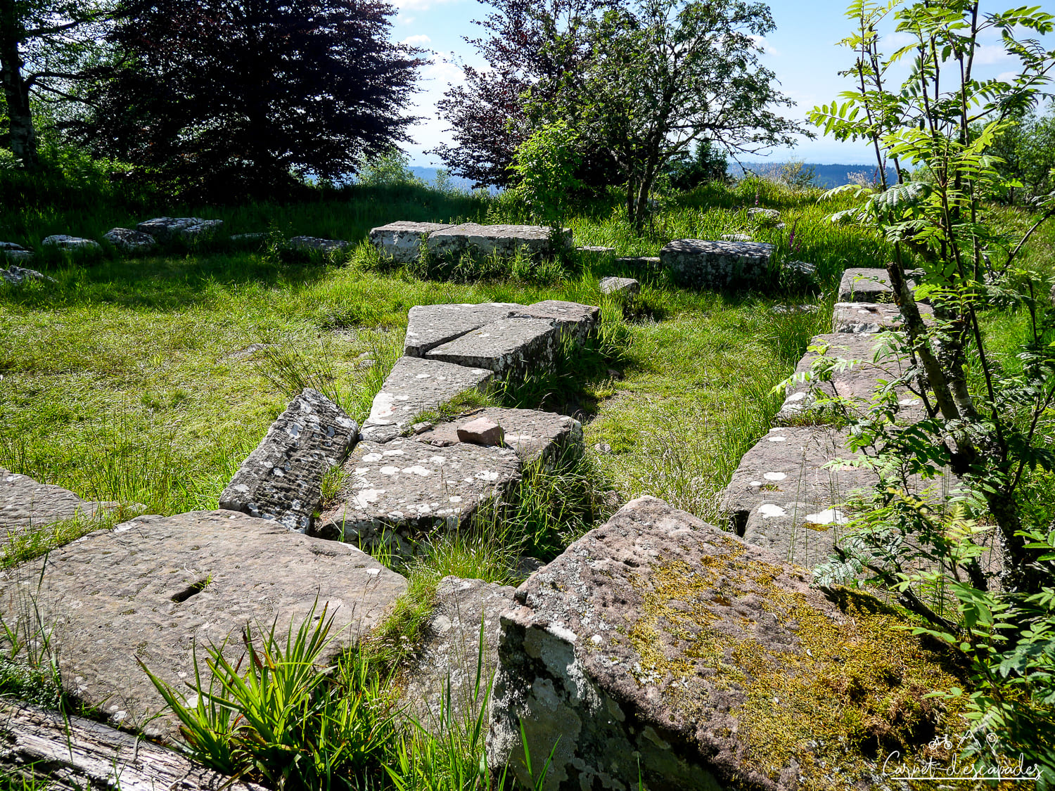 Wanderung zum Donon, dem heiligen Berg des Elsass