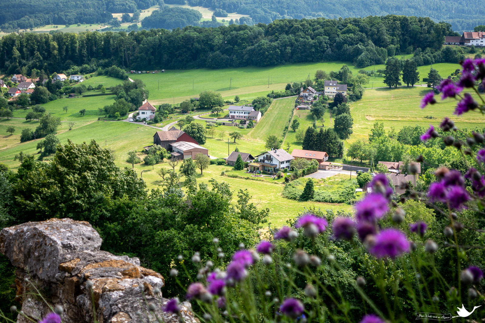 Besichtigung der Burg Landskron in Leymen - Blog Alsace